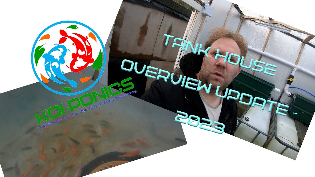 Tank house overview update - 2023 - YouTube