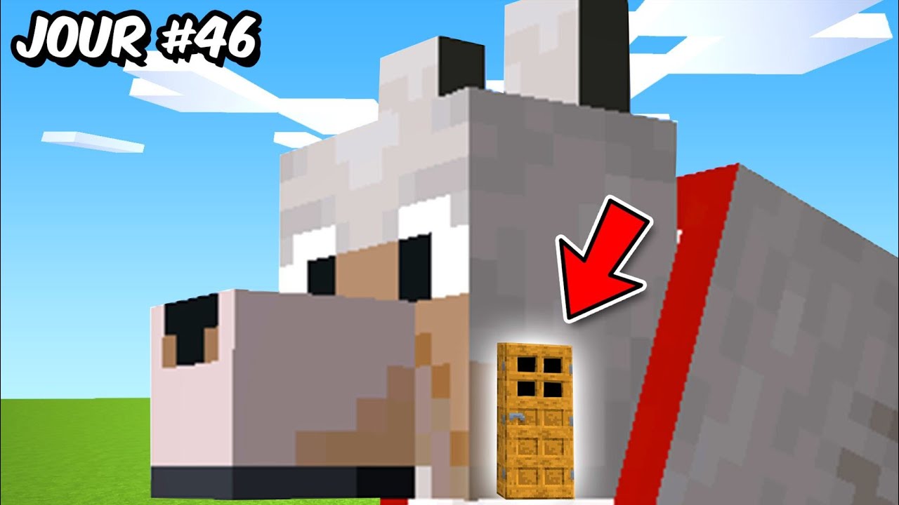 J'ai Construit Une Maison pour Chien sur Minecraft Hardcore - YouTube