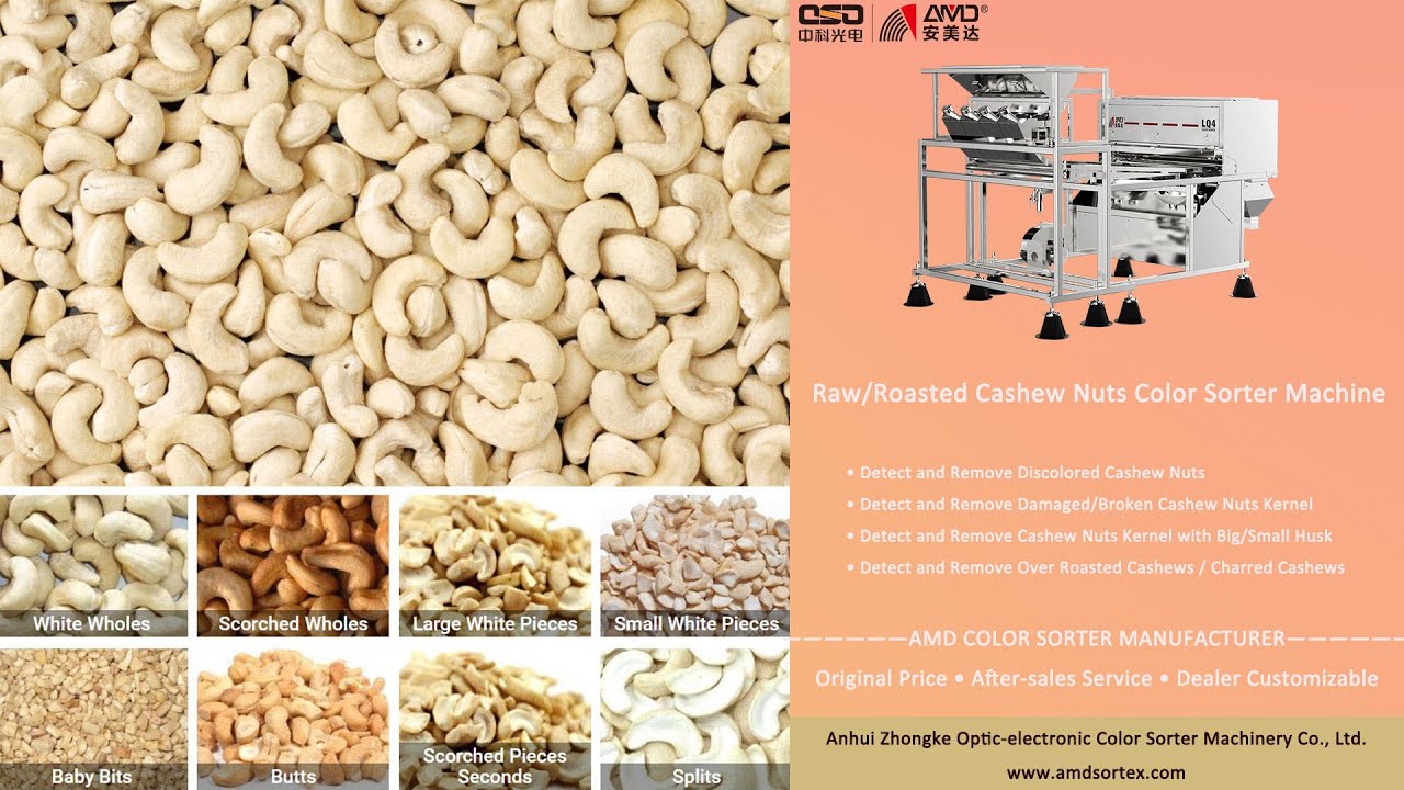 AMD Dried Fruits Kaju Nuts Color Sorter/Sortex Machine for Raw/Roasted ...