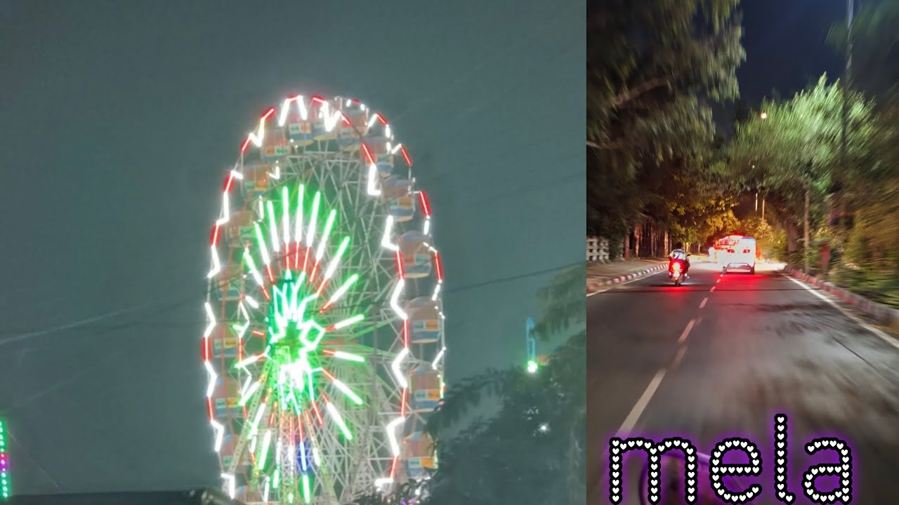 Dwarka sector 8 mela 🐯 - YouTube