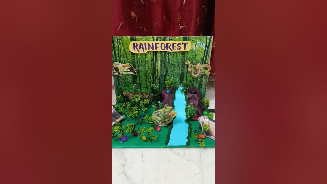 Rainforest 3D model with animals school project #schoolprojectmaker # ...
