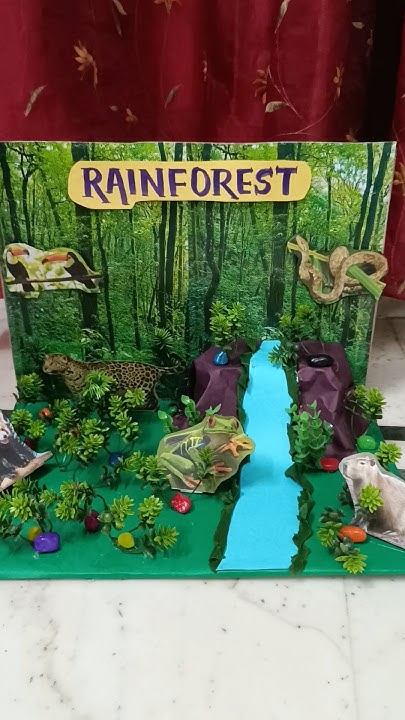 Rainforest 3D model with animals school project #schoolprojectmaker # ...