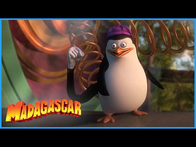 Penguins Of Madagascar Private Cute
