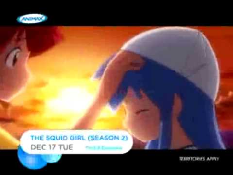 TRAILER ANIMAX DECEMBER HIGHLIGHT - YouTube