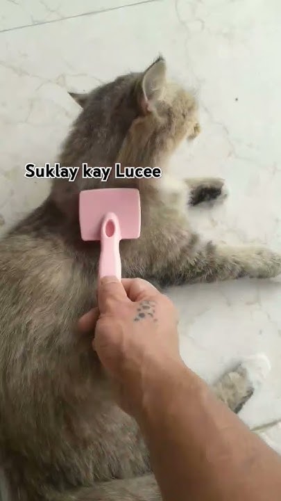 Suklay kay Lucee 12nov2024 - YouTube