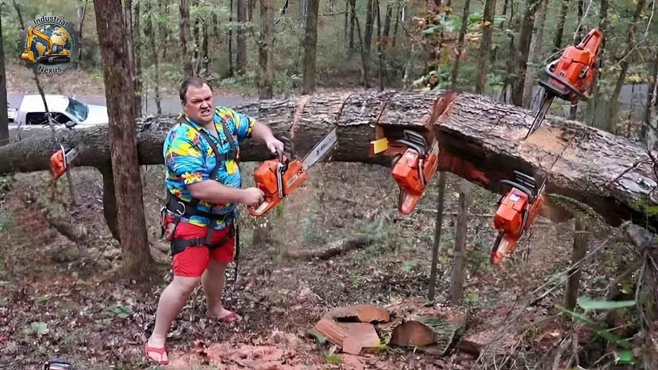 Idiots With Chainsaws: Tree Cutting Fails | Extreme Dangerous Logging ...
