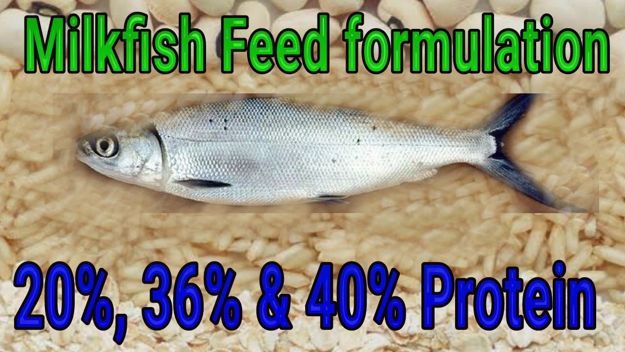 On firm 100 kg Practical diet formula for Milkfish | Chanos fish ...