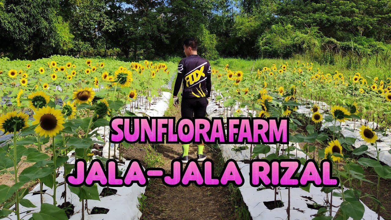 SunFlora Farm Jala-Jala Rizal mtb ride - YouTube