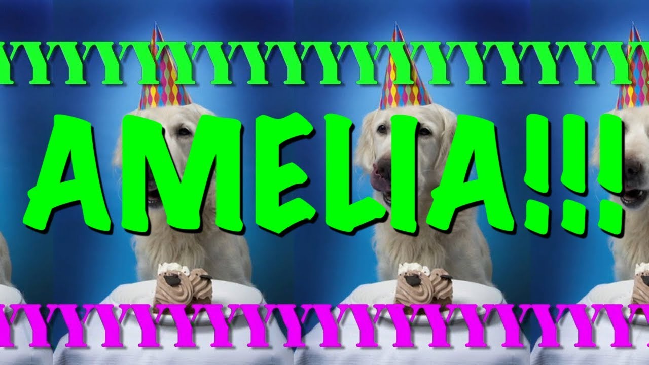 HAPPY BIRTHDAY AMELIA! - EPIC Happy Birthday Song - YouTube