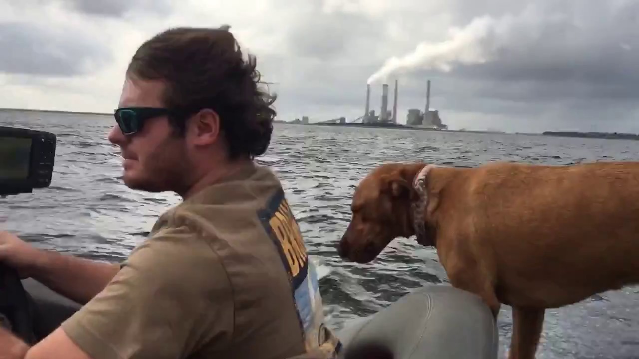 Lexi Lu loving the boat ride and bass fishing - YouTube