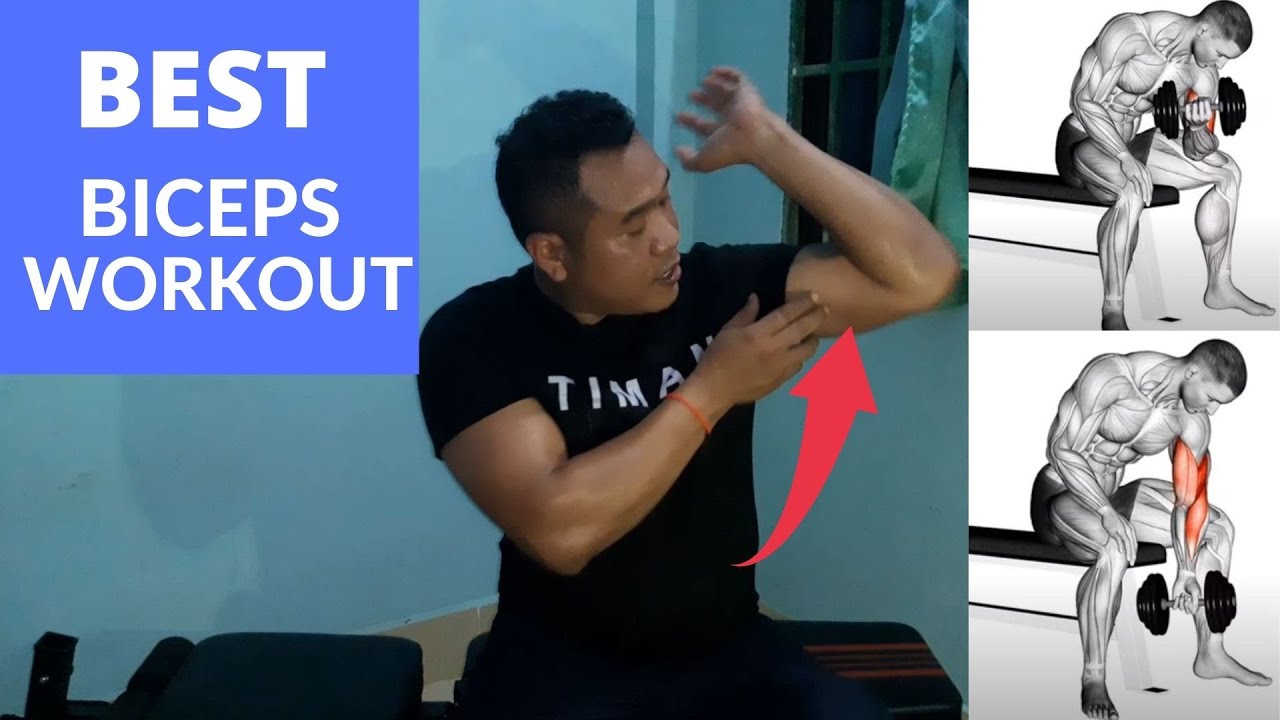Biceps Exercises - Arnold Curl Workout - YouTube