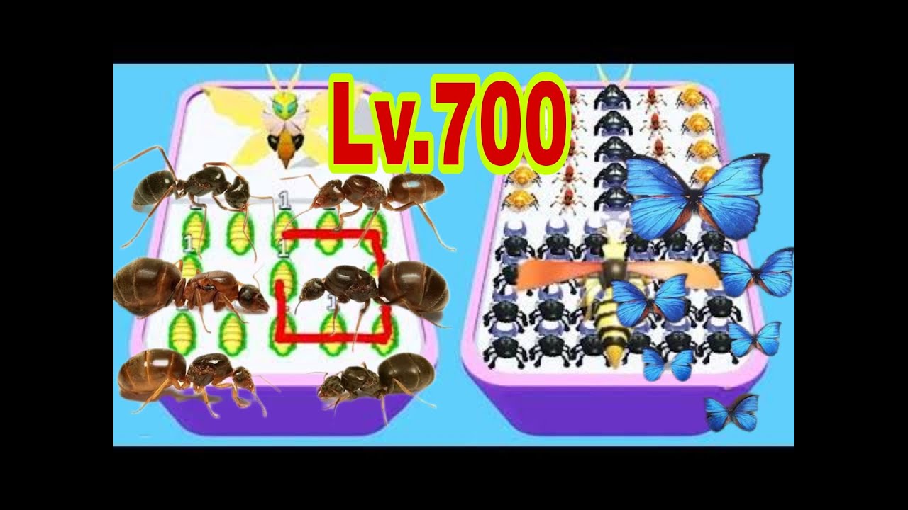 MERGE MASTER Insect Fusion 700 levels gameplay android-ios - YouTube