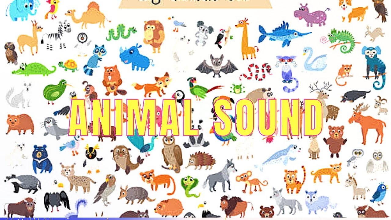 Animal Sound Lizard Frog Bee Mosquito Flies Cockroach Mouse Owl etc ...