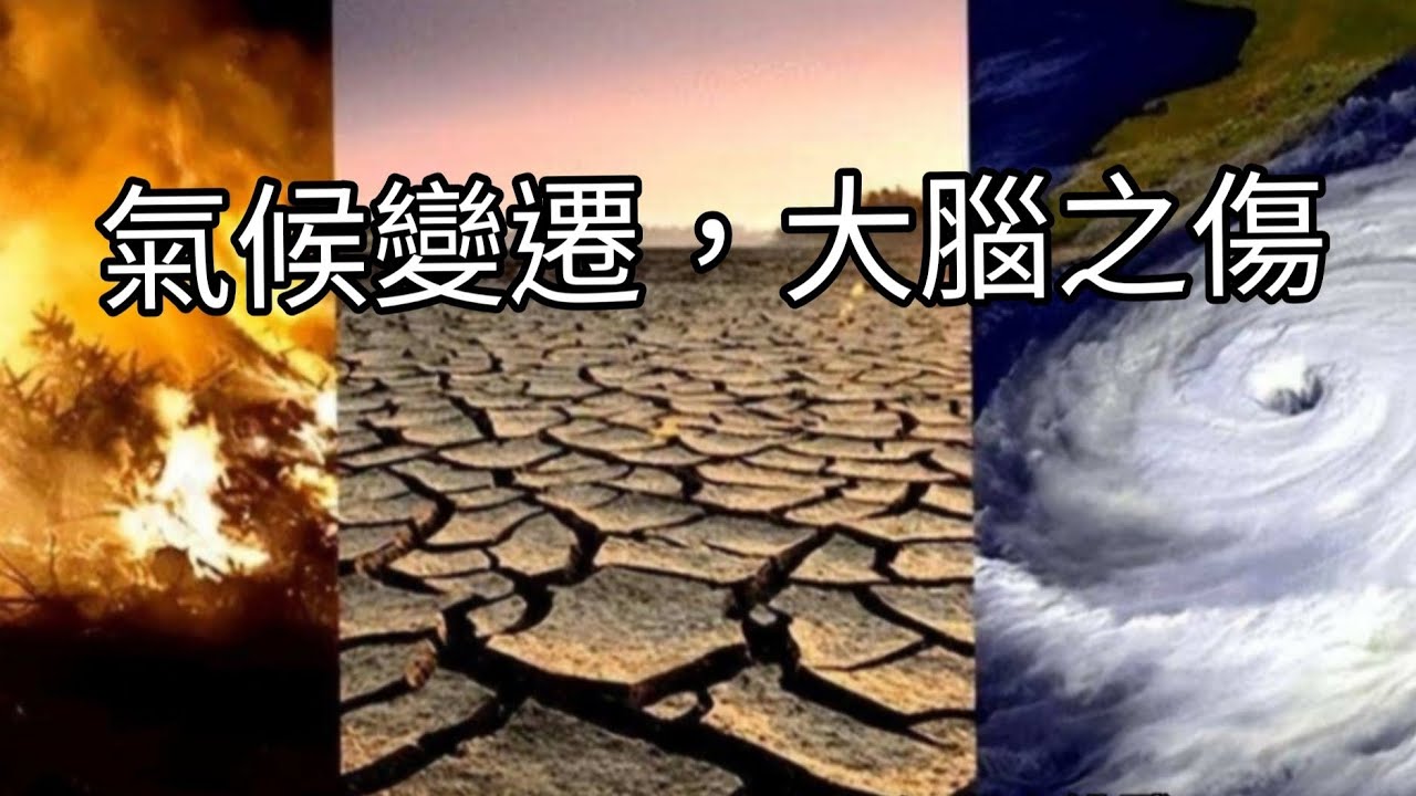 『氣候變遷,大腦之傷』氣候變遷全球暖化極端天氣環境汙染人類健康社會問題應對氣候變遷減碳綠色生活完整影片觀看請至我的頻道追蹤訂閱! Youtube