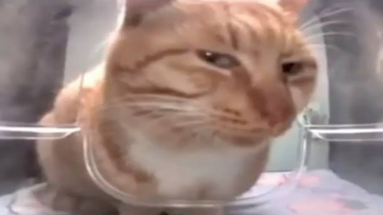 Top 5 side eye (meme) - YouTube