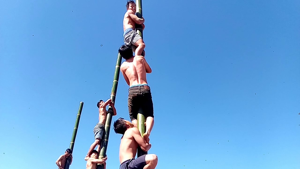 Naga traditional game-bamboo climbing.. - YouTube