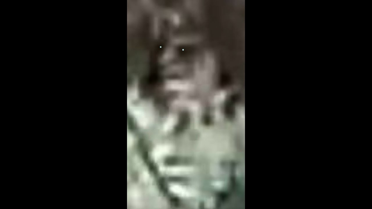 FOREST FRIENDS AND LITTLE PEOPLE! Research Area "Turtle Way"! - YouTube