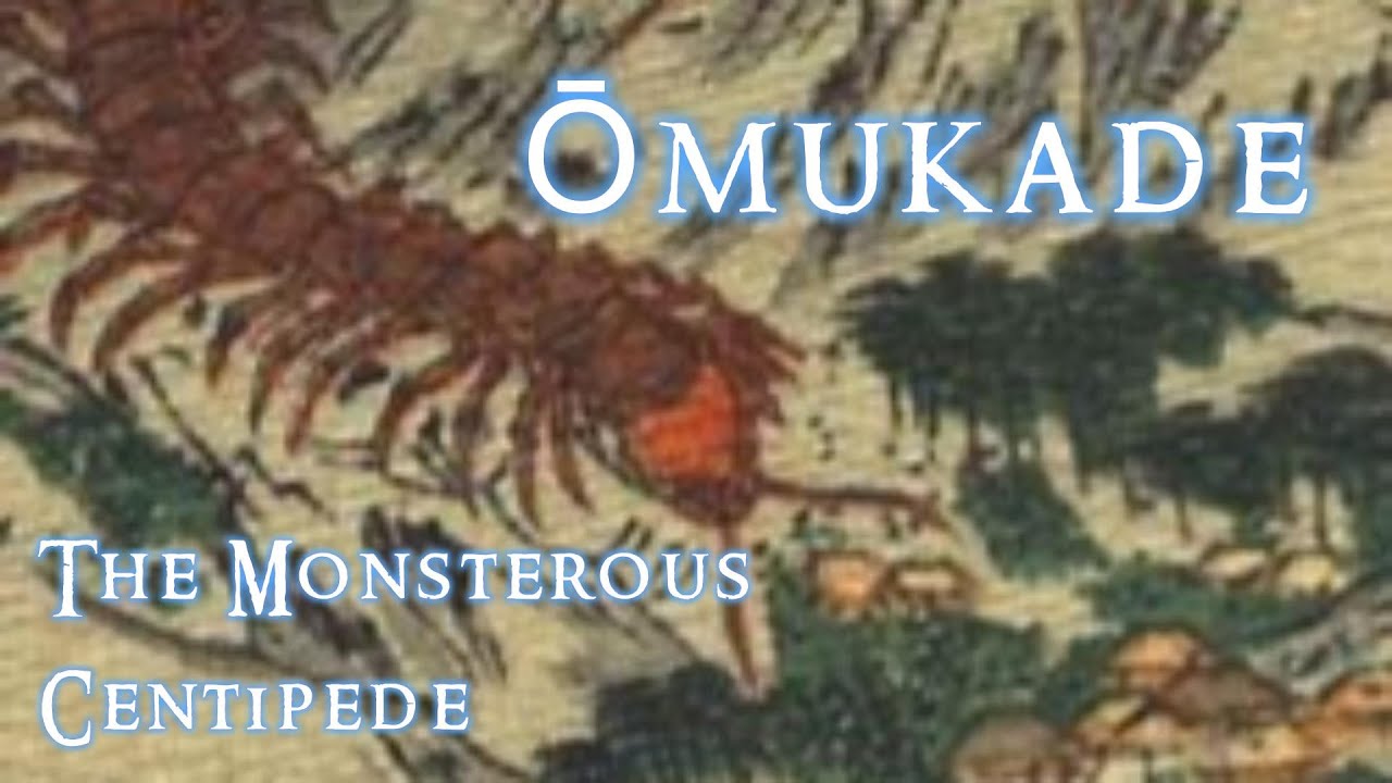 Ōmukade: Monstrous Centipede - YouTube