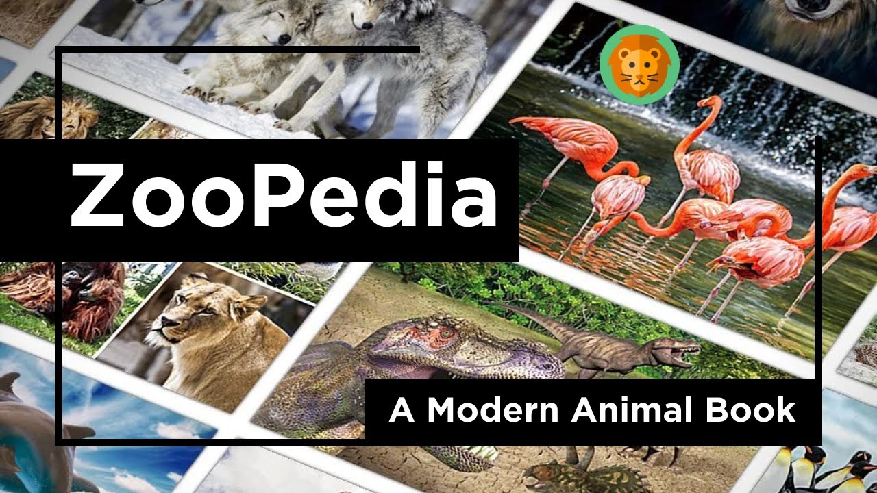 Introducing Zoopedia - YouTube