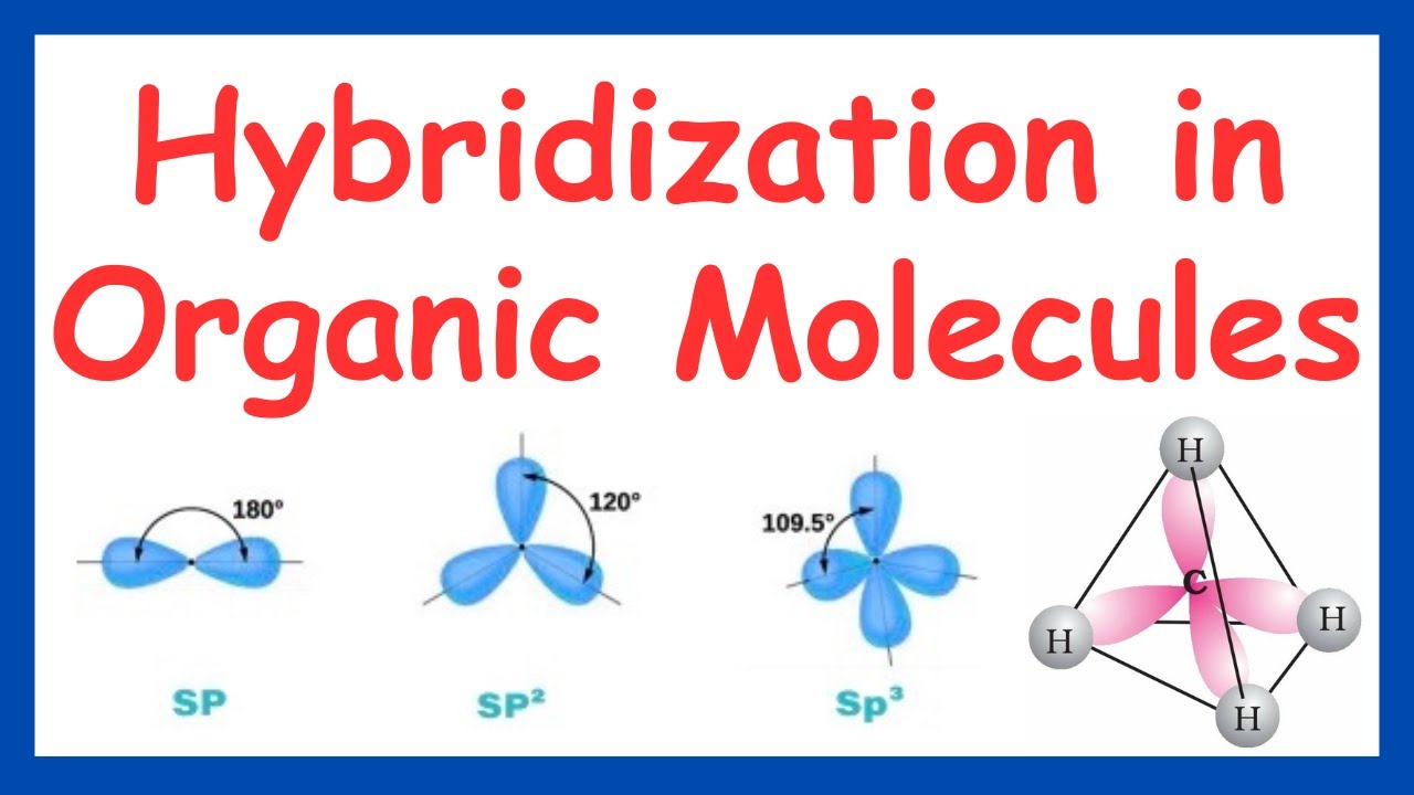 Hybridization in Organic Molecules |#chemclasses - YouTube