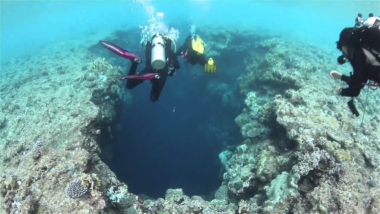 Diving Palau 2013 - YouTube