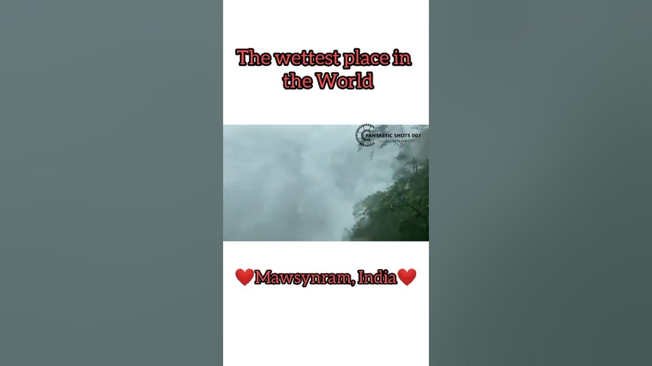 The Wettest Place In The World YouTube the-wettest-place-in-the-world-youtube