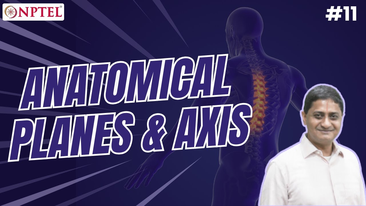 #11 Anatomical Planes & Axis | Biomechanics - YouTube