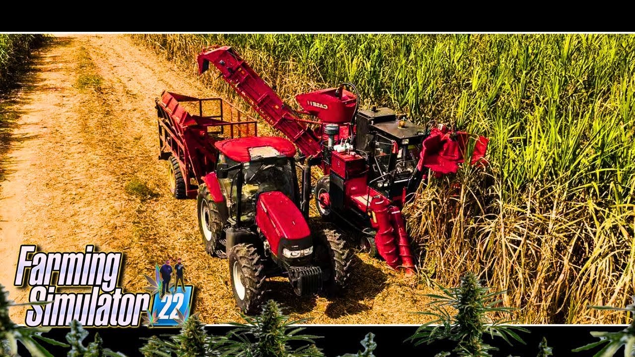 Sugar Cane Harvesting Part 2 In Spring Creek ND 16x Map - Farming ...