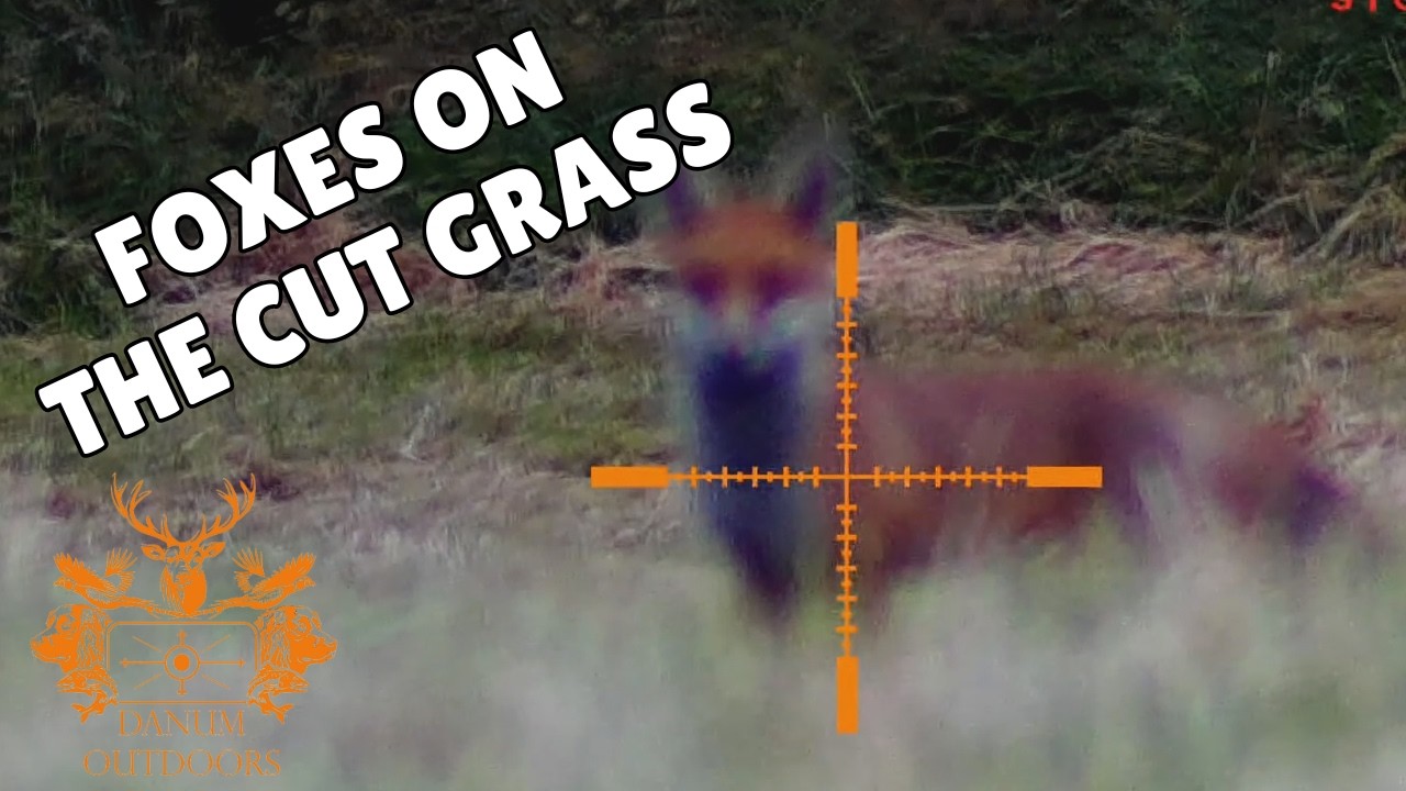 Cut grass Fox control - YouTube