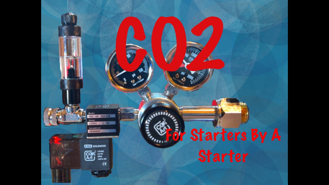 Step By Step Guide: How To Set Up CO2 For Planted Aquarium (CO2 Art Regulator) - YouTube