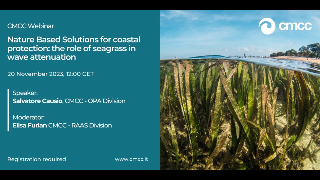 Nature Based Solutions For Coastal Protection The Role Of Seagrass In