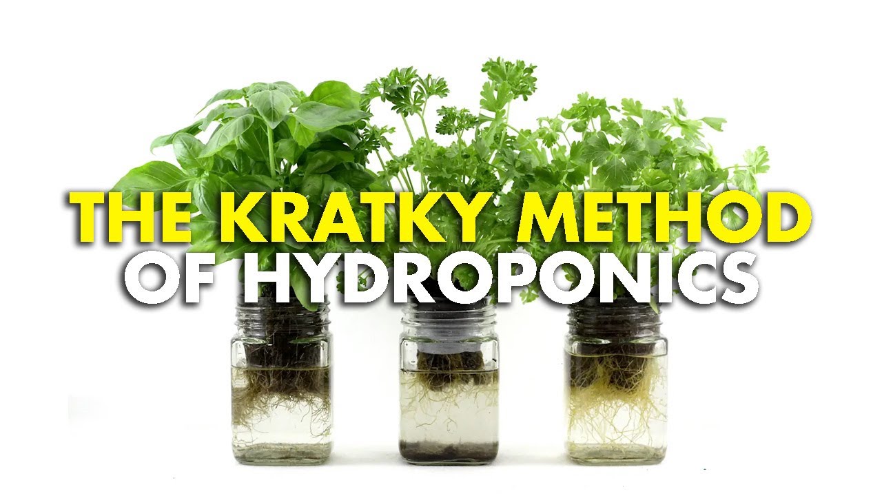 Unveiling the Kratky Method 101: What You Need To Know - YouTube