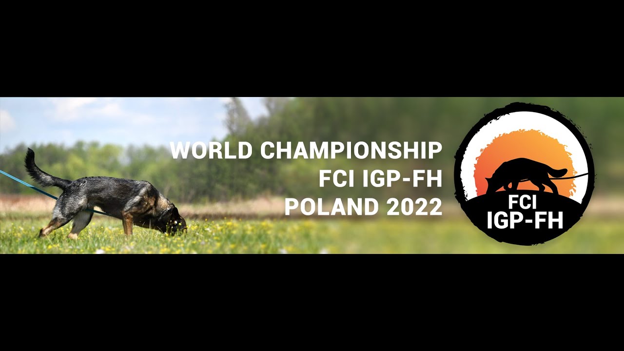 promo-video-fci-igp-fh-wc-2022-poland-youtube