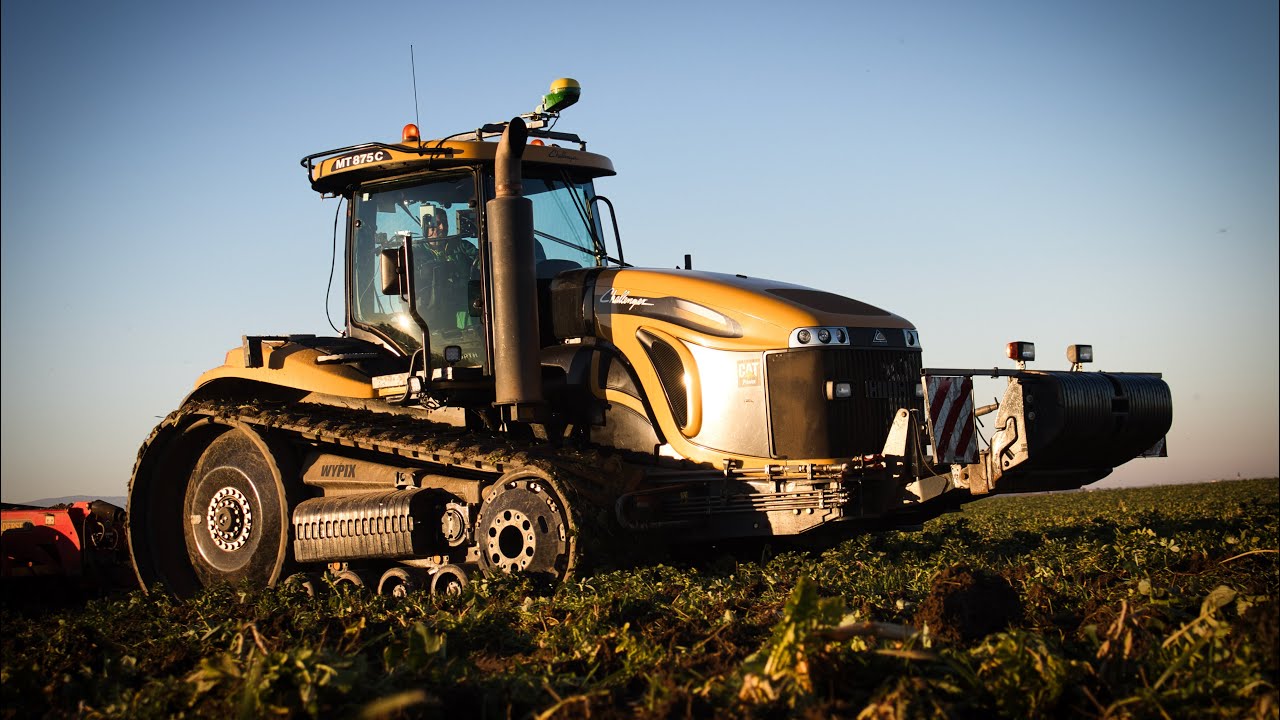 Challenger MT 875C de 600 ch à la destruction des engrais vert ...