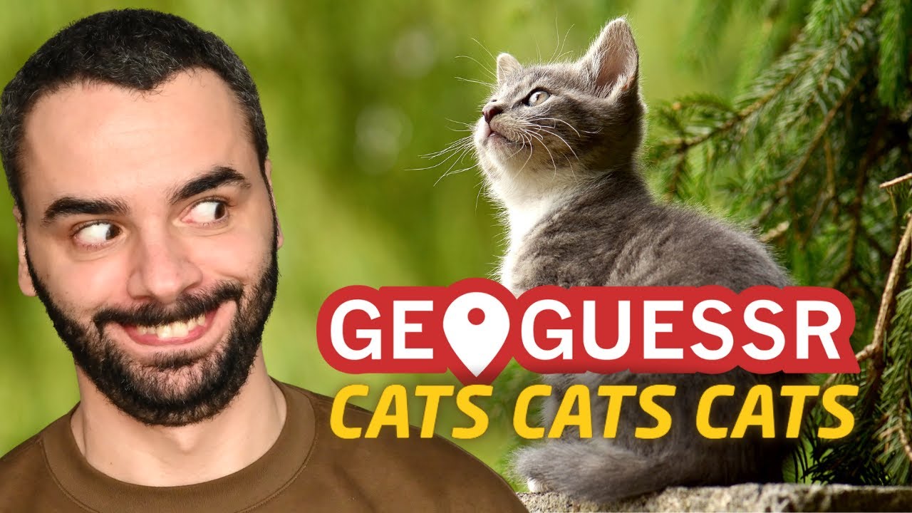 Finding cats on Google Maps - YouTube