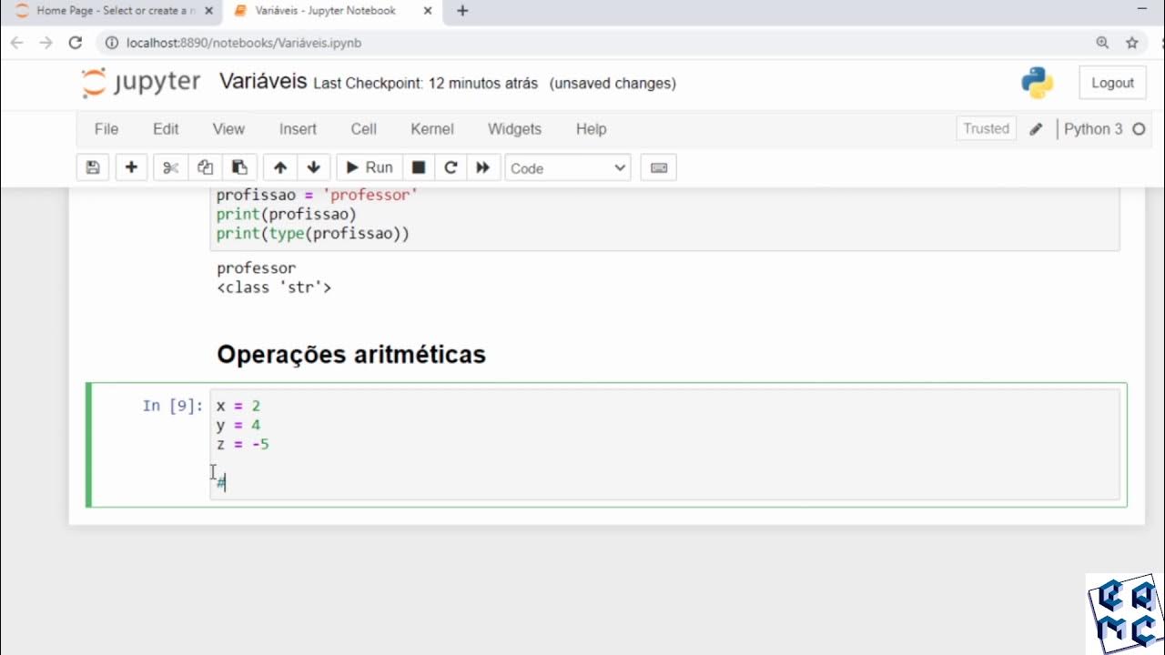 Python para data science - Aula 03 - Variáveis e operações aritméticas ...