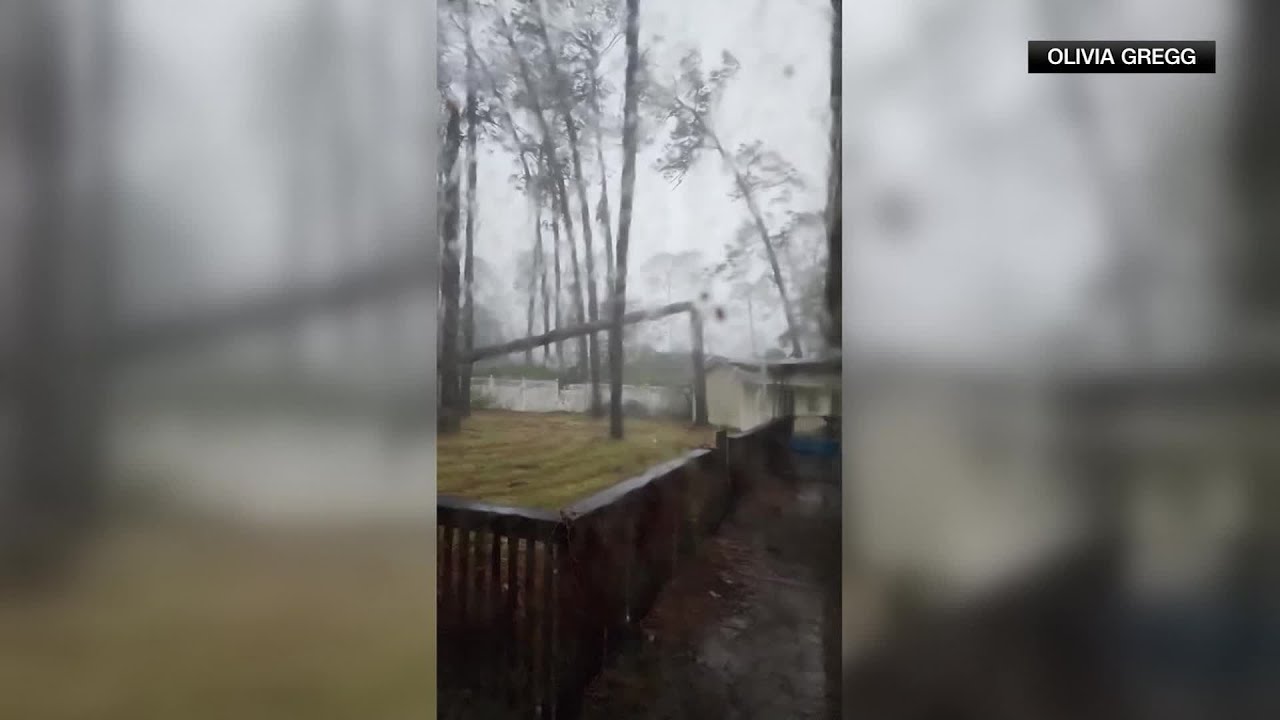 Shocking video shows tree fall on Florida home as Idalia hits - YouTube