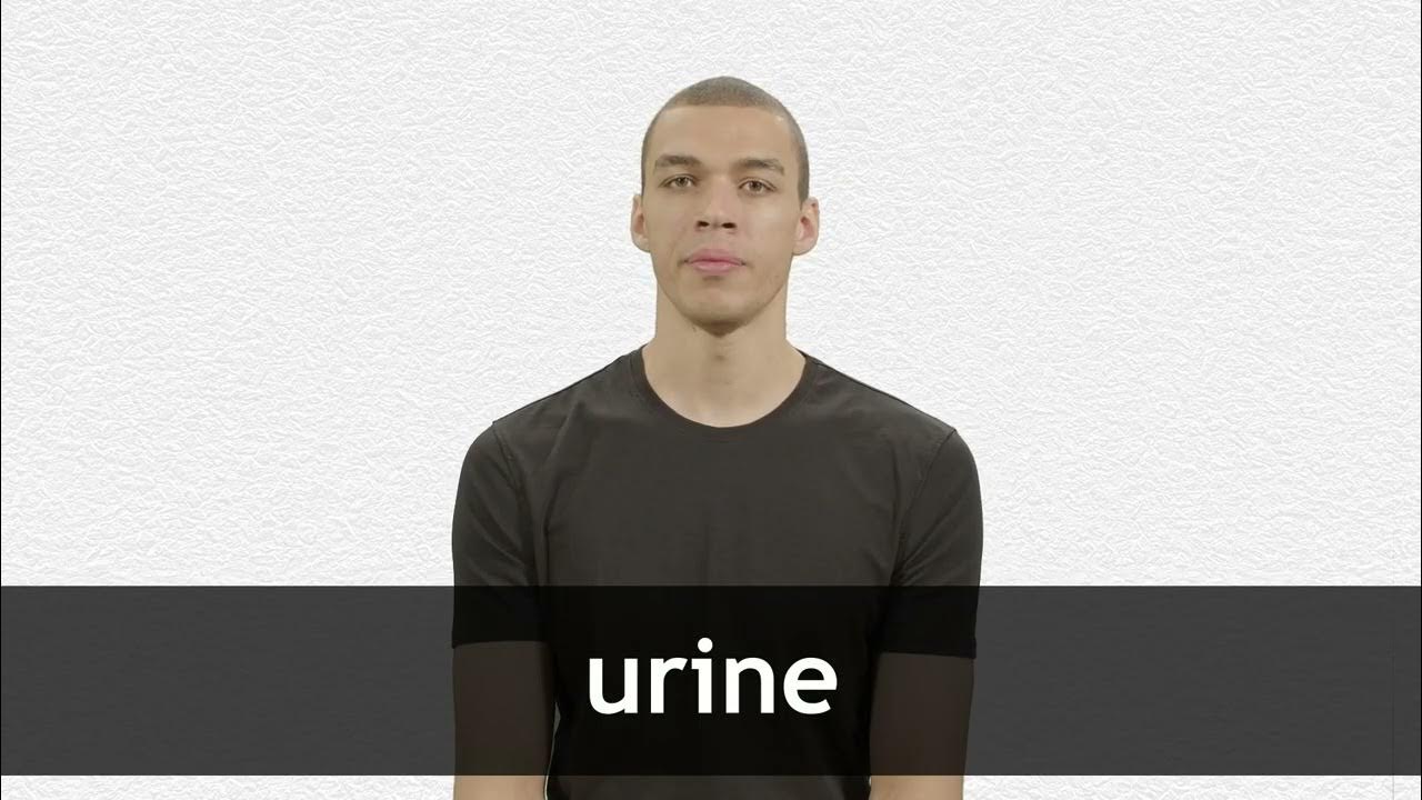 How To Pronounce URINE In American English YouTube how-to-pronounce-urine-in-american-english-youtube