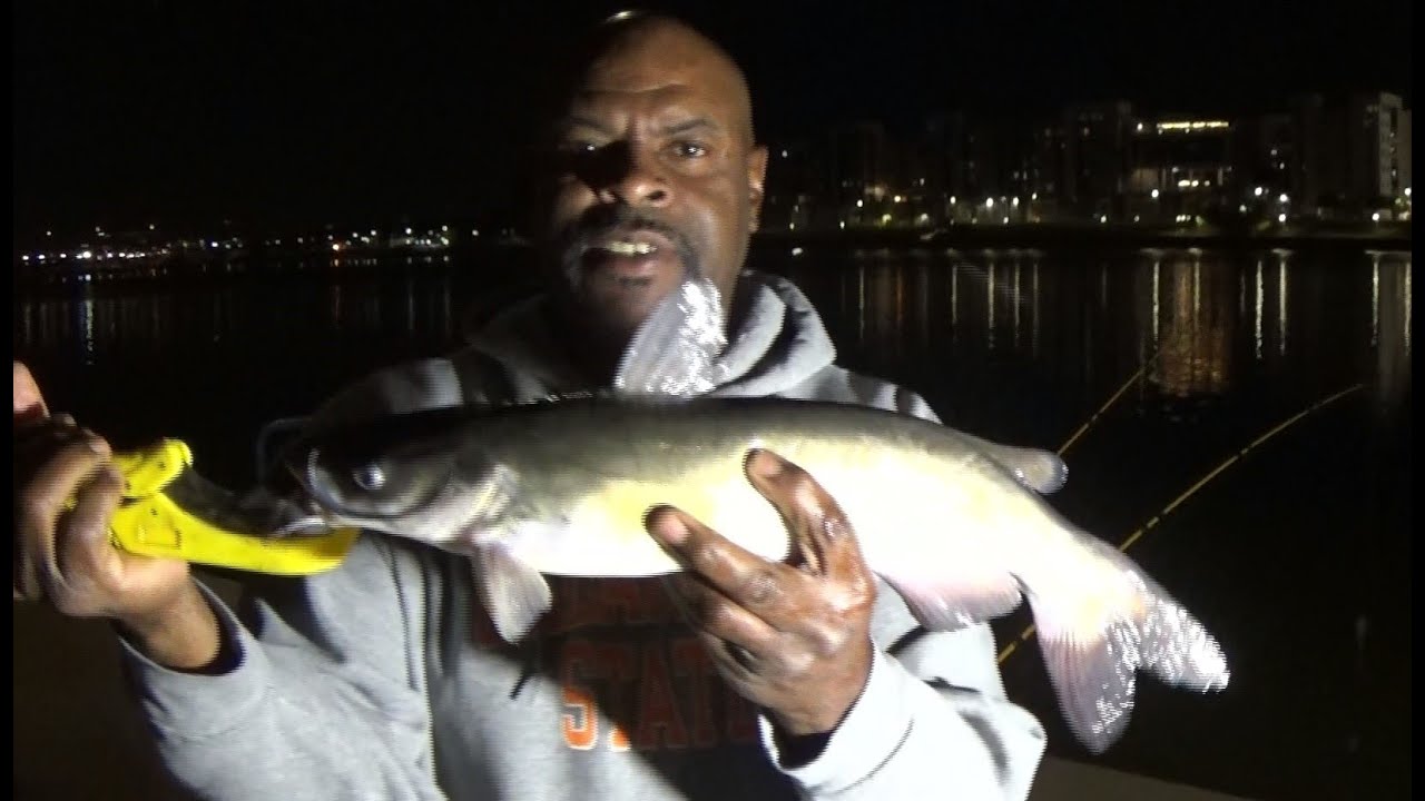 NIGHT FISHING AT TEMPE TOWN LAKE (using STRYKER BAIT) - YouTube