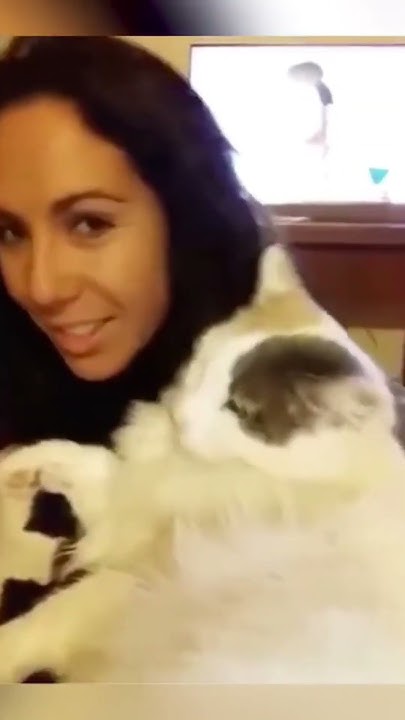 funny cat#cat#cats#catlover #catshorts#funnycats#youtubeshorts #funnyvideo#music#luckycat# ...