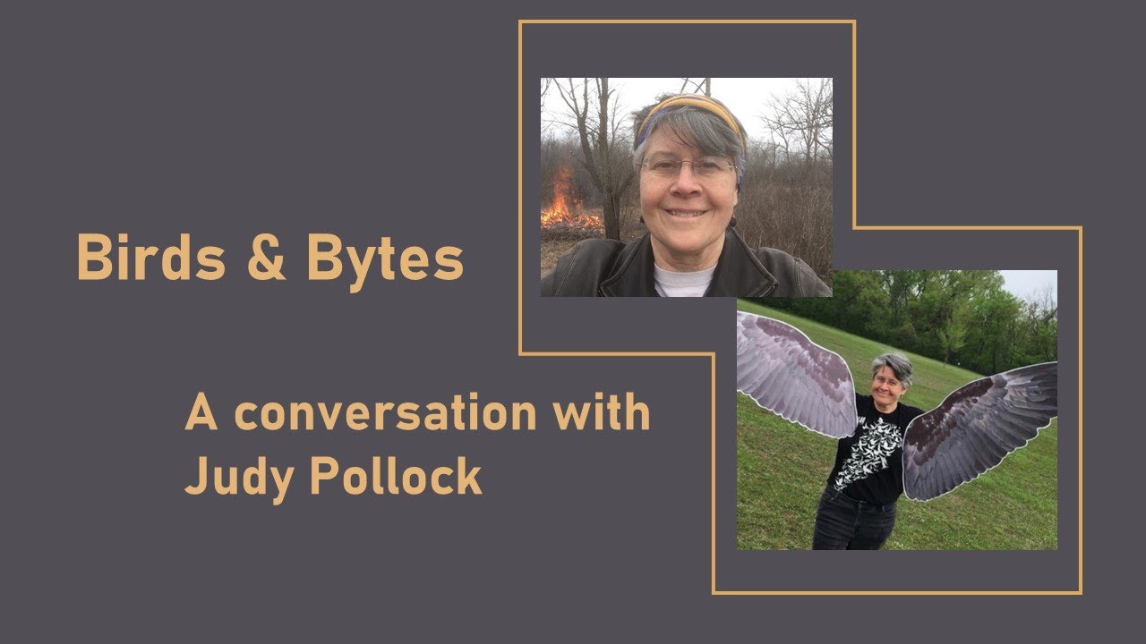 A Conversation with Judy Pollock - YouTube