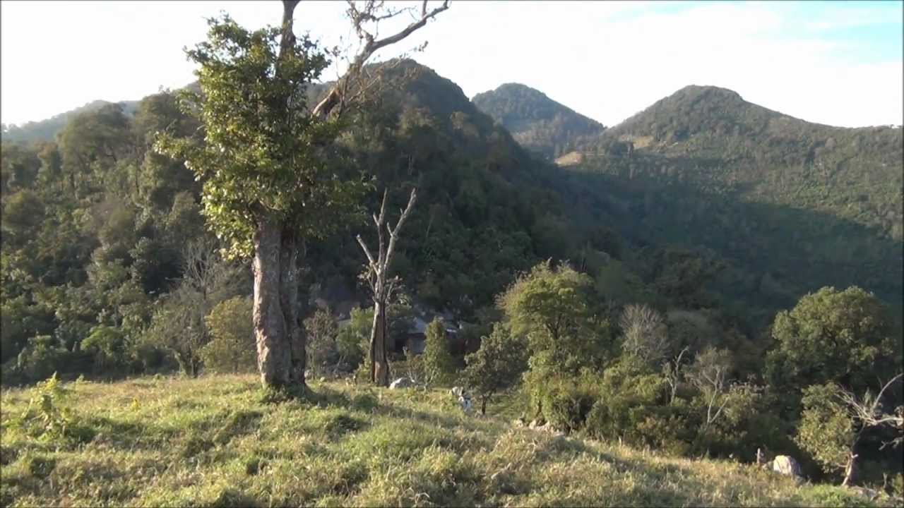 SAN FRANCISCO TAMAZUNCHALE S.L.P. - YouTube