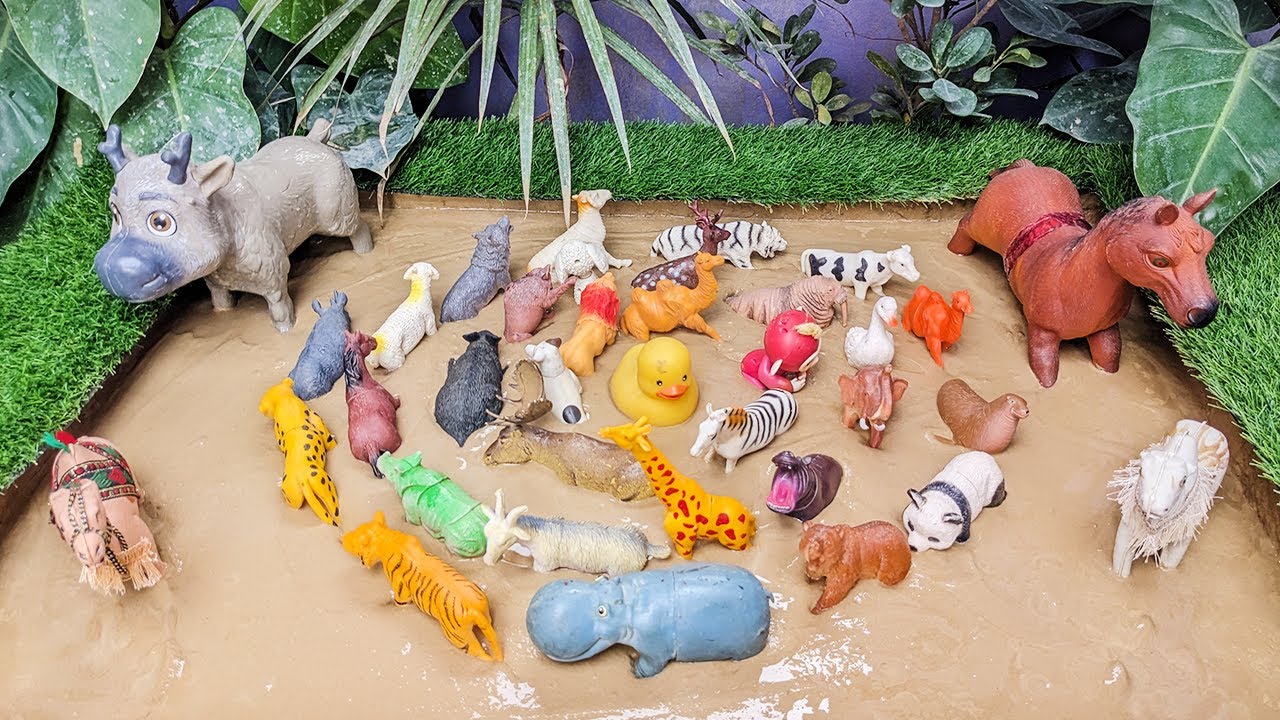 Four Big Wild Animals Stuck In Sandbox With Very Hight Quantity Of ...