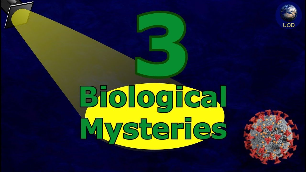 Where did viruses come from ? - 3 Biological Mysteries - YouTube