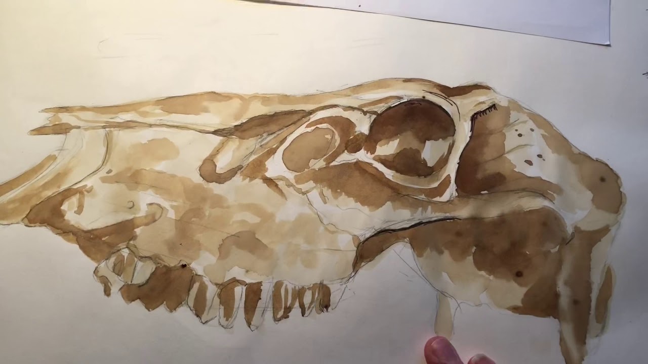 Coffee painting on a skull - YouTube