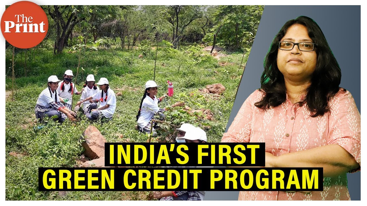 Go green, earn green: What is India’s 1st Green Credit scheme to reward ...