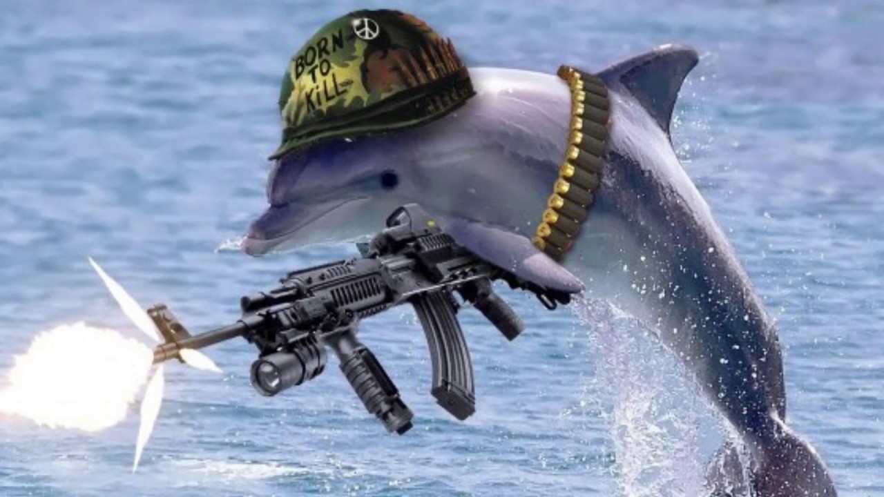 Compilation of Weird & Absurd Animal Related Conspiracy Theories! - YouTube