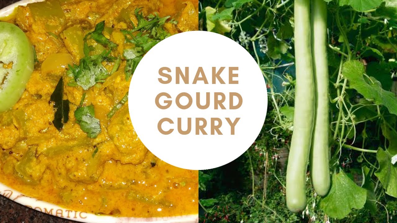 How to make Snake Gourd Curry| Padavalakayi Palya|ಪಡವಲಕಾಯಿ ಪಲ್ಯ ...