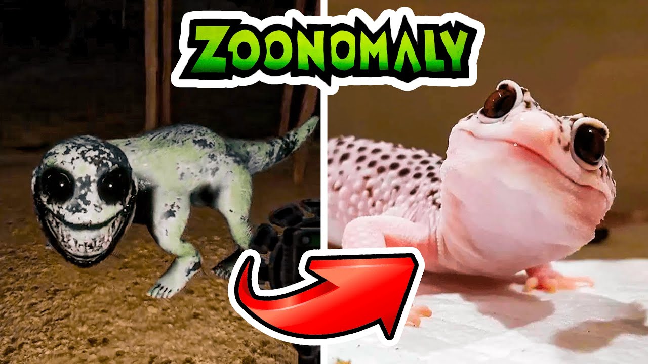 ZOONOMALY in REAL LIFE – All Characters! - YouTube