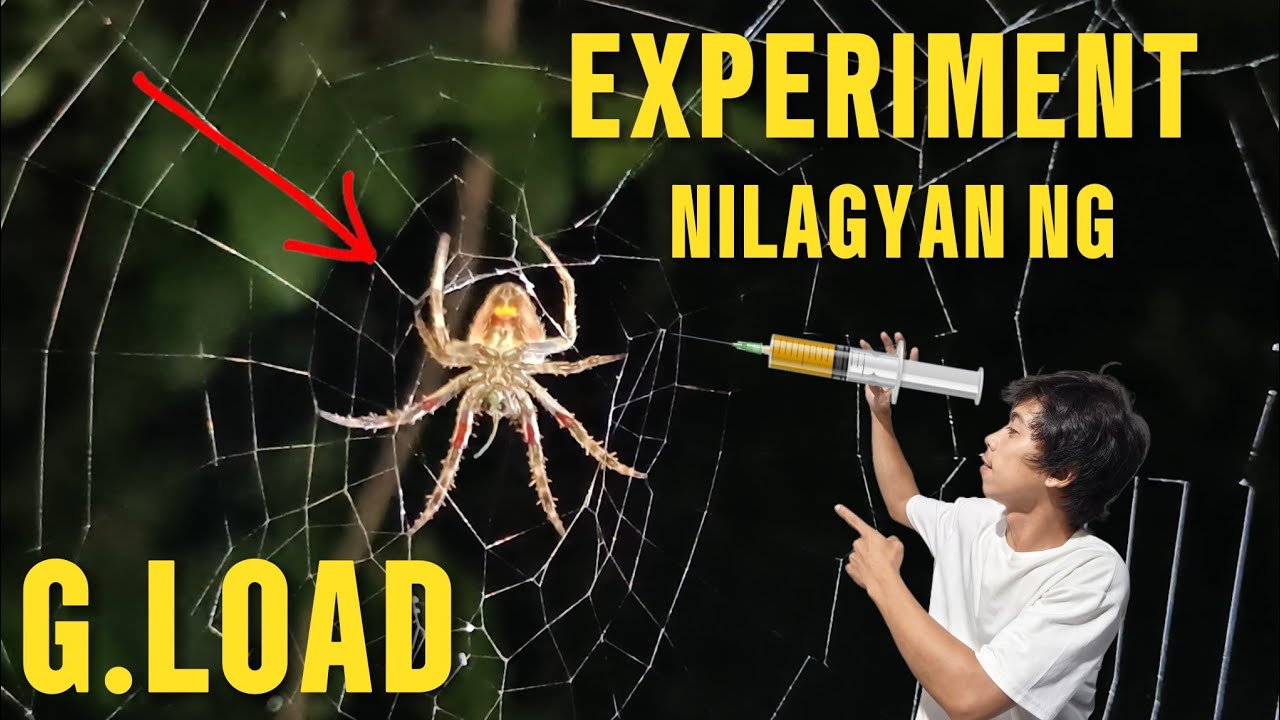 EXPERIMENT NILAGYAN NG G. LOAD ANG TAGALOG ‼️ - YouTube